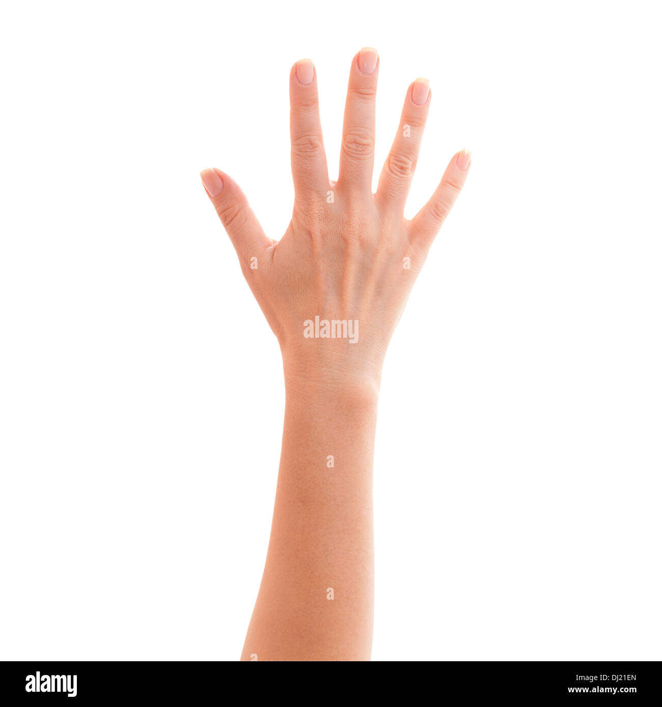 Hand concept. Close up isolated Stock Photo - Alamy