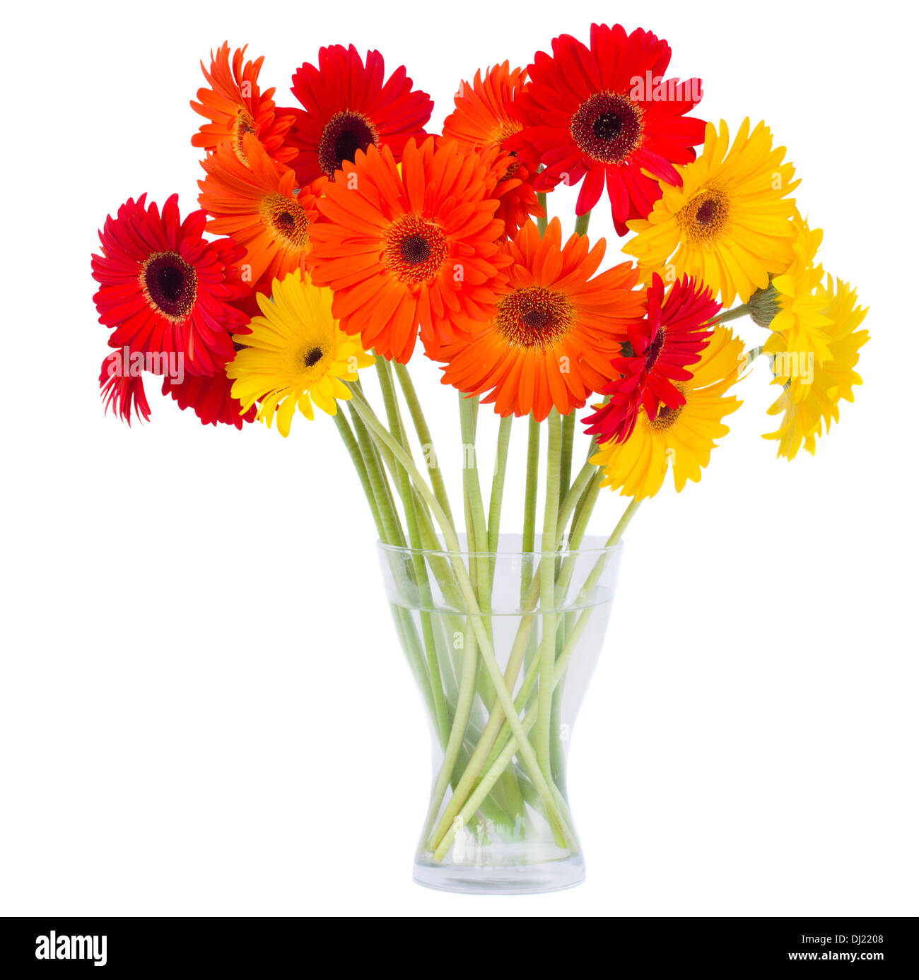 gerbera flowers in vase Stock Photo - Alamy