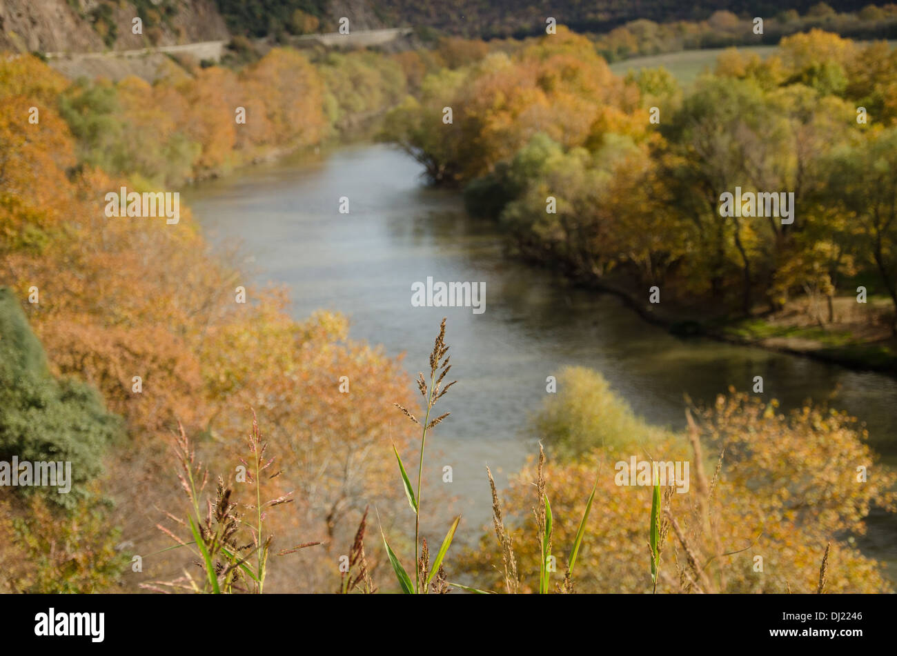 Plants in front hi-res stock photography and images - Alamy