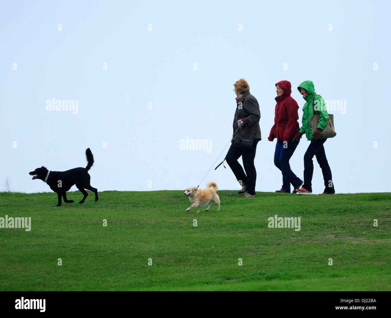 Walking the dog in the rain hi-res stock photography and images - Alamy