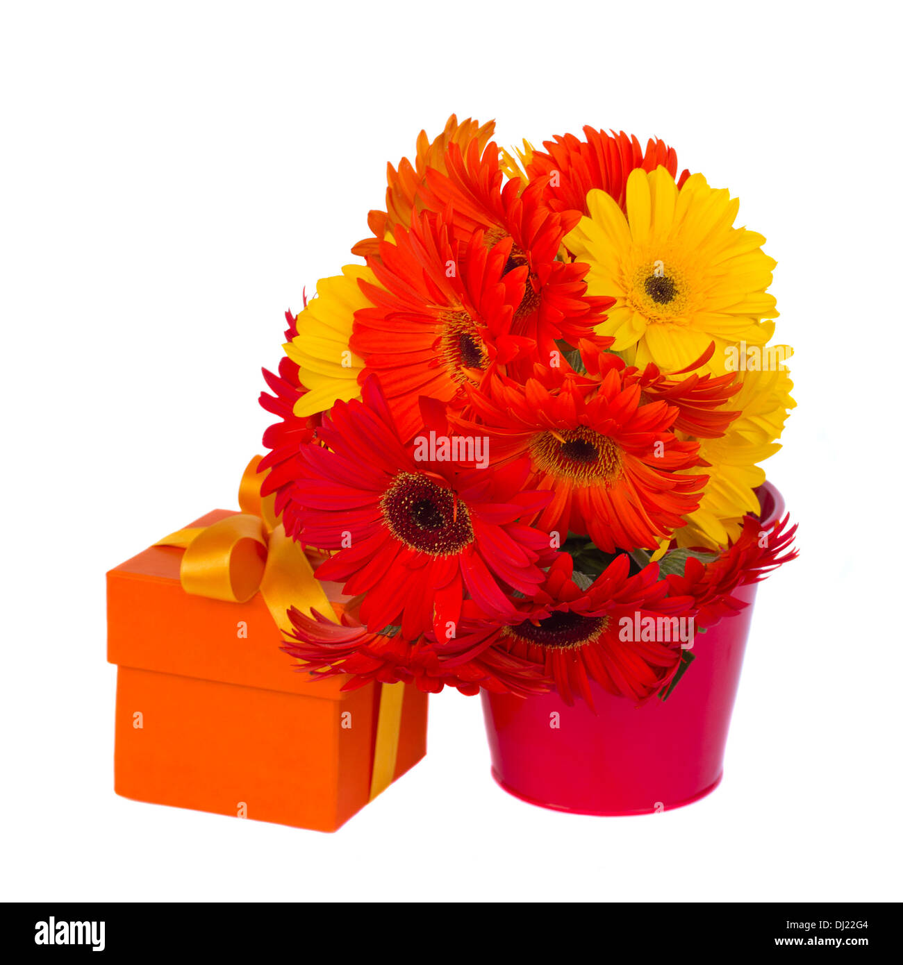 Gerbera daisy box hi-res stock photography and images - Alamy