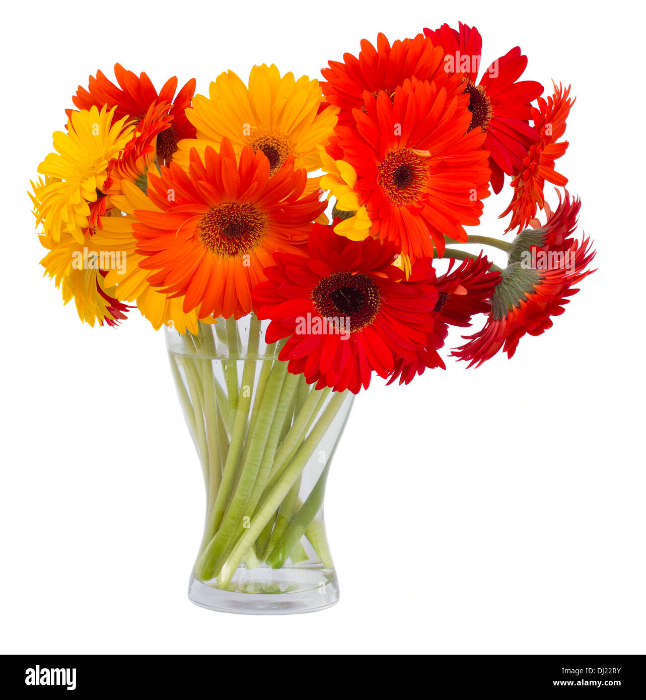 gerbera flowers in glass vase Stock Photo - Alamy