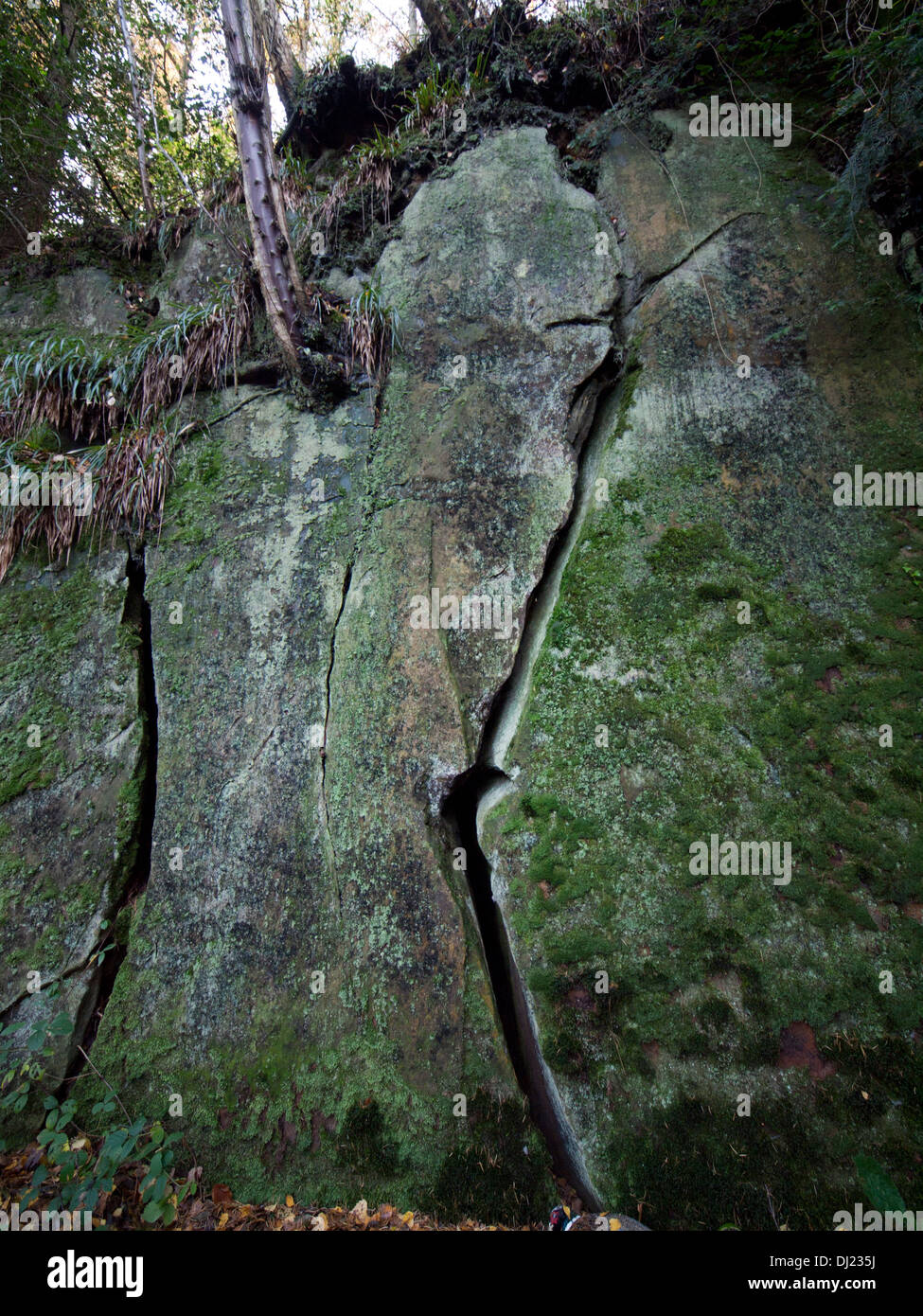 A moss covered rock face in the English countryside Stock Photo - Alamy