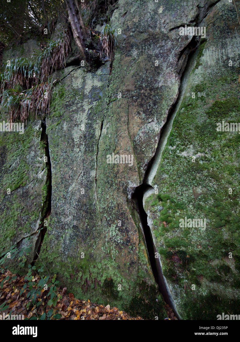 A moss covered rock face in the English countryside Stock Photo - Alamy