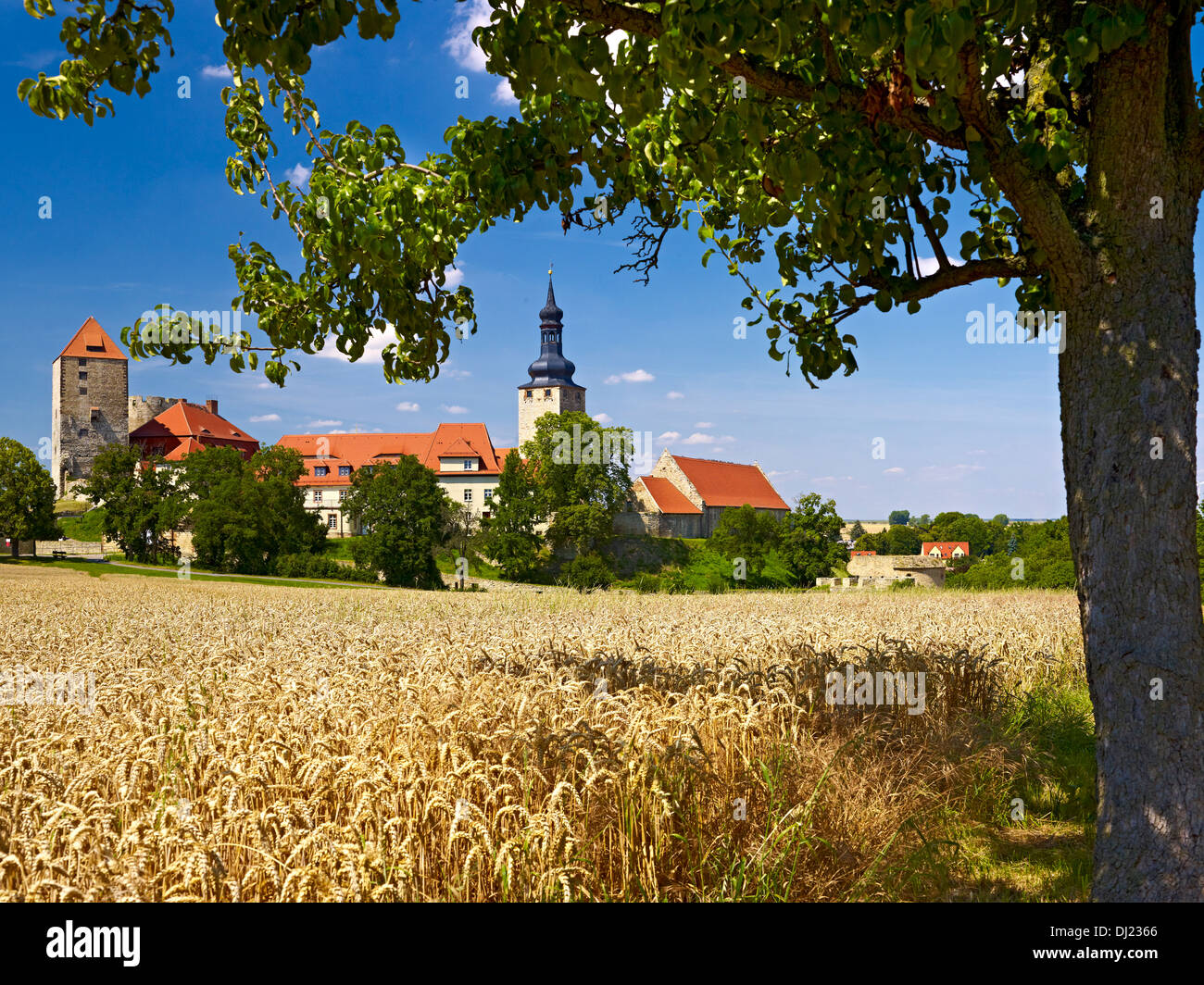Querfurt castle with cornfield hi-res stock photography and images - Alamy