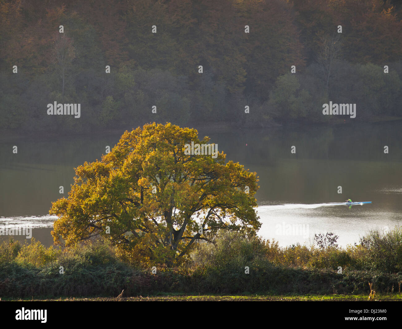Ardingly reservoir uk hi-res stock photography and images - Alamy