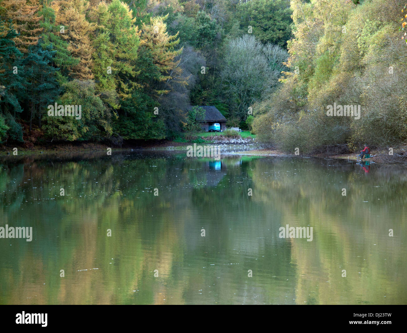 Ardingly Reservoir in the autumn Stock Photo - Alamy
