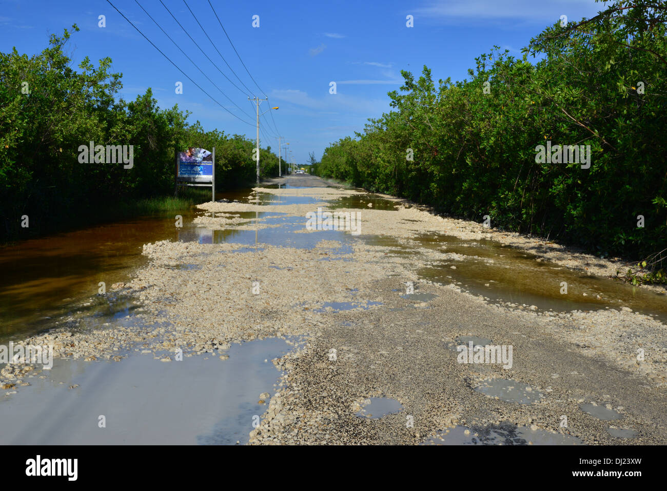 Rutted road hi-res stock photography and images - Alamy