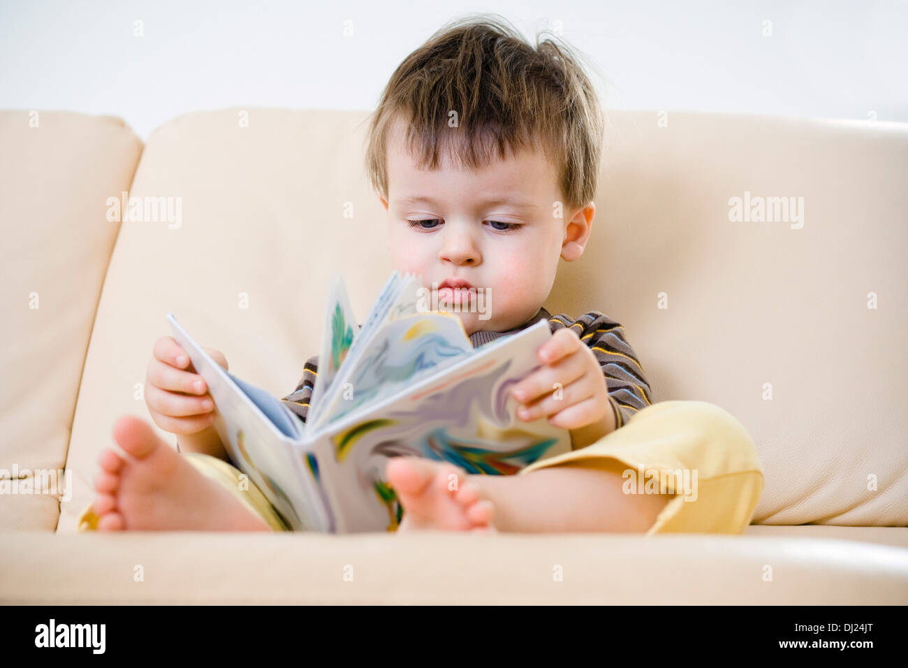Cute little boy reading book on sofa Stock Photo - Alamy