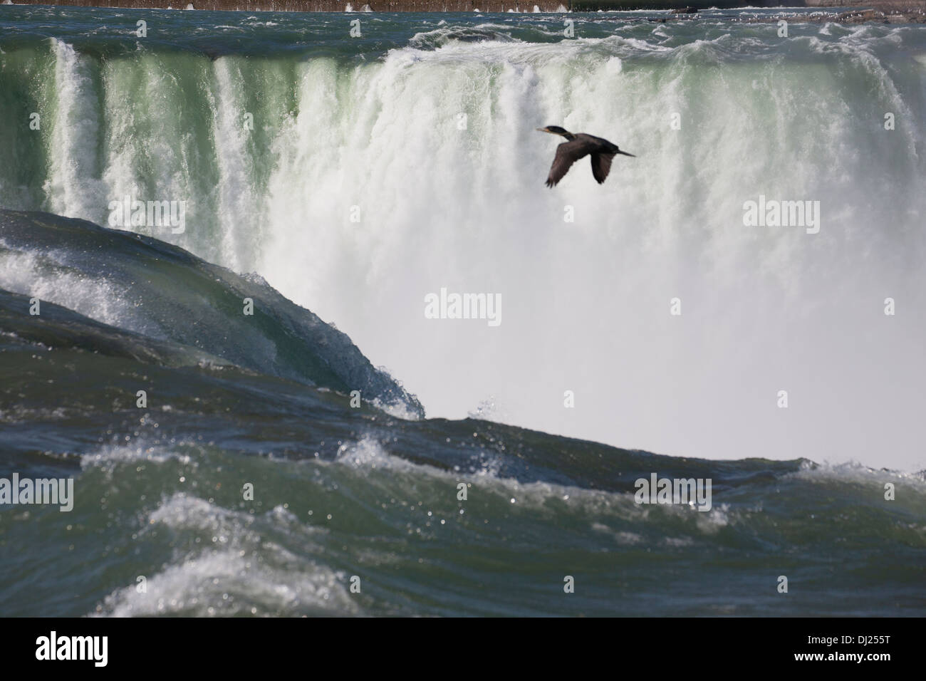 Flying Over Niagara Falls High Resolution Stock Photography and Images ...