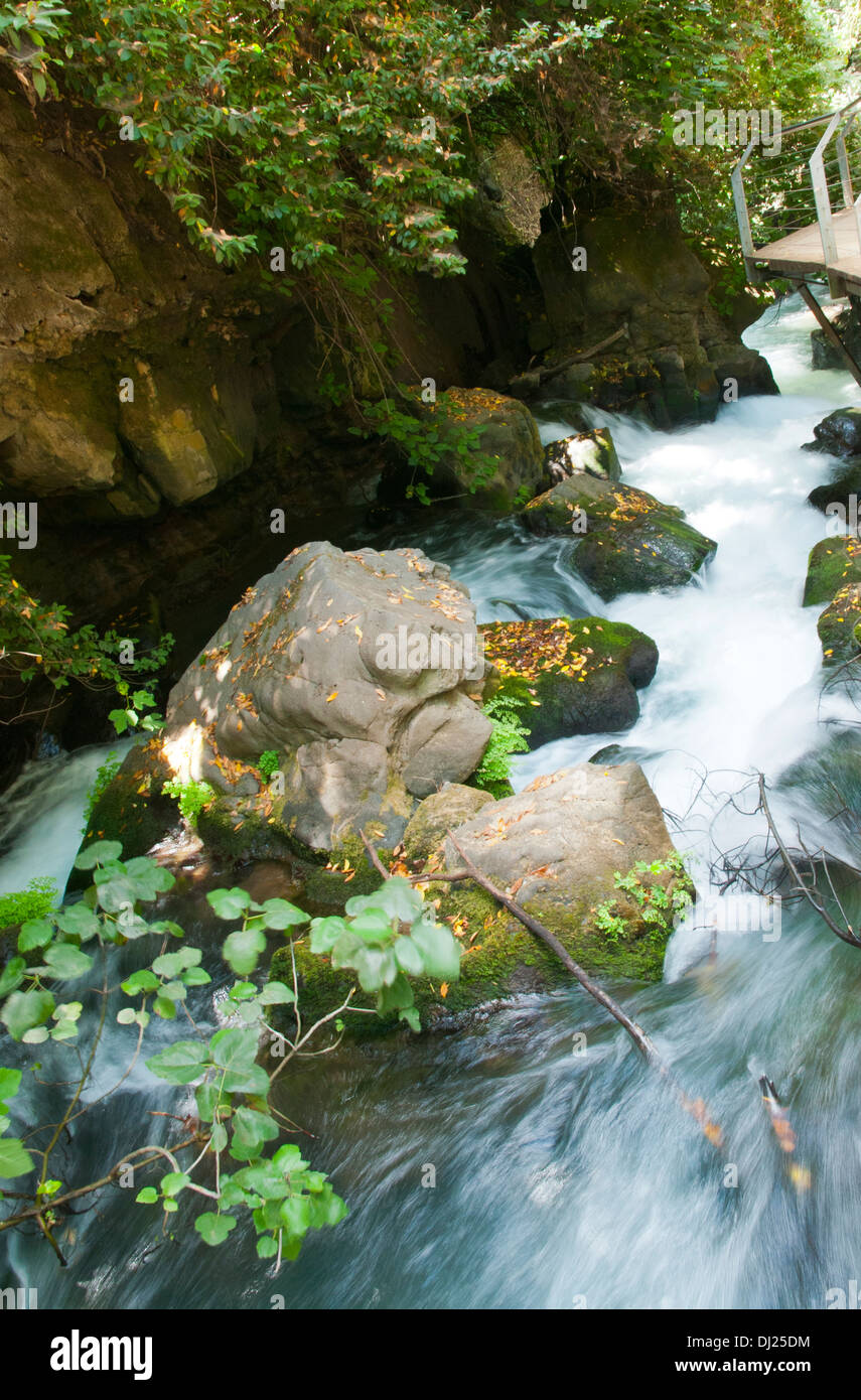 Hermon Stream Nature reserve (Banias) Golan Heights Israel This stream ...