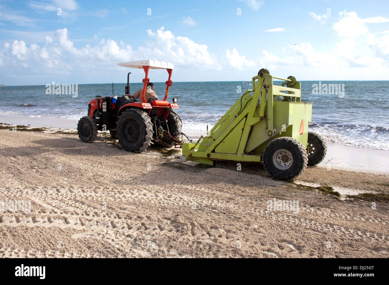 A seaweed clearer in Mexico Stock Photo - Alamy