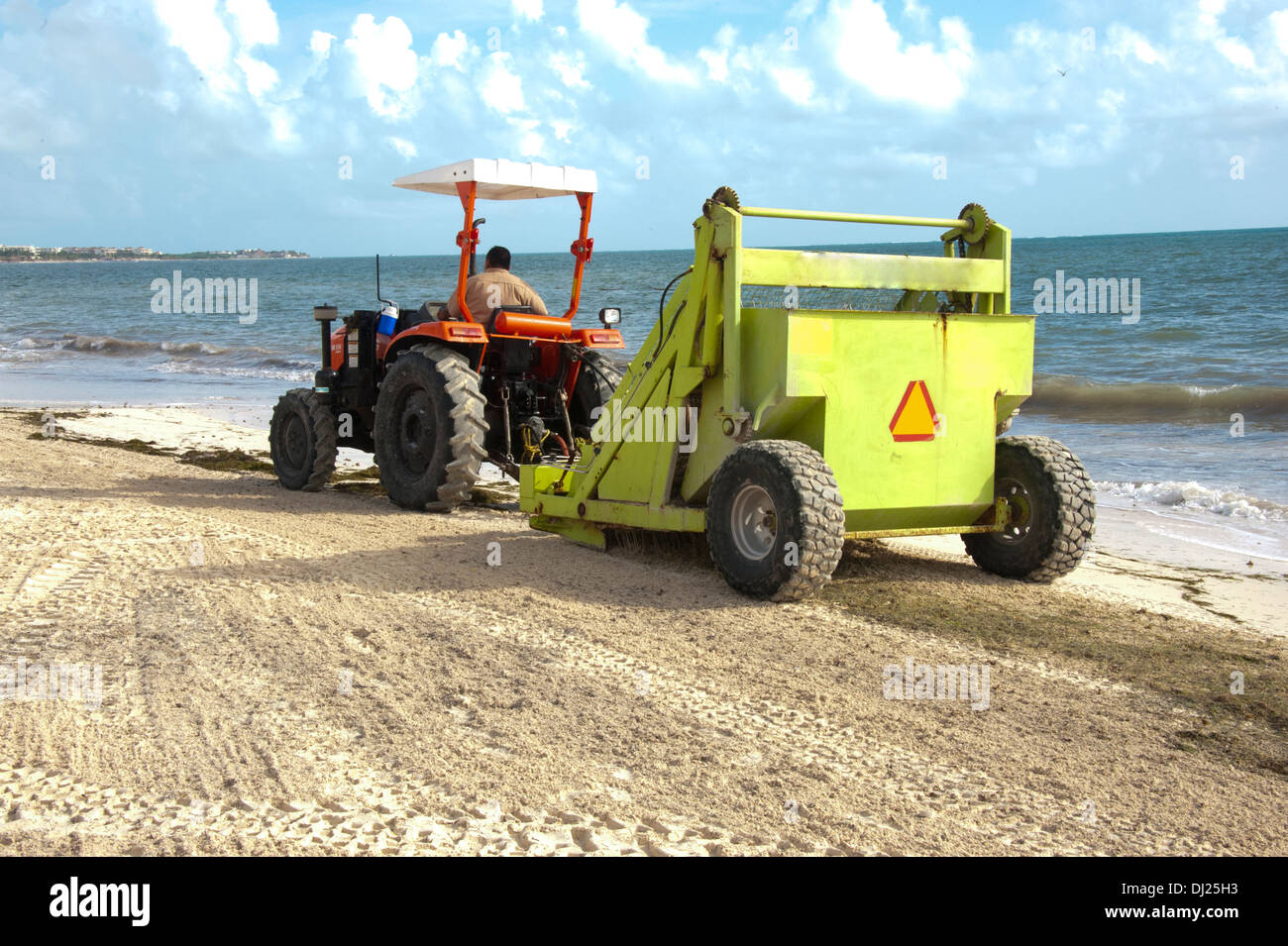 A seaweed clearer in Mexico Stock Photo - Alamy