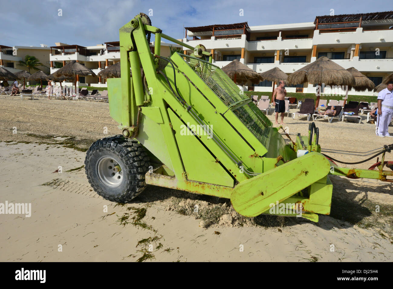 A seaweed clearer in Mexico Stock Photo - Alamy