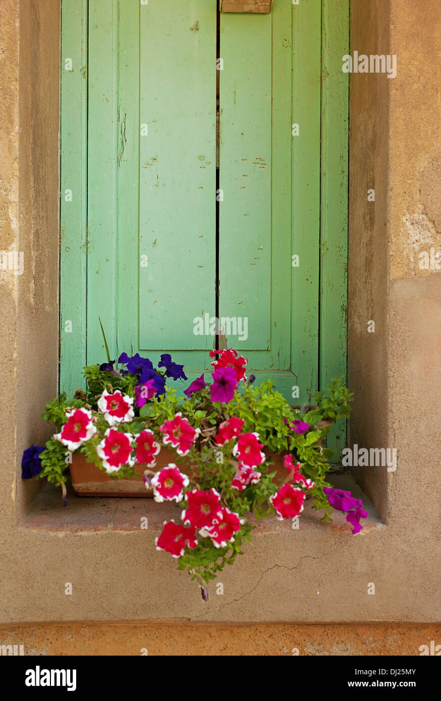 Flowers on rustic window hi-res stock photography and images - Alamy