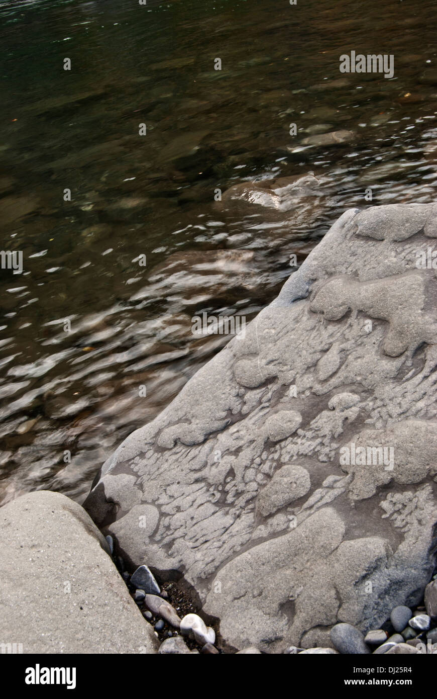 Trebbia High Resolution Stock Photography and Images - Alamy