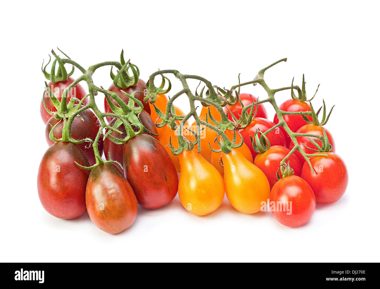 Varicolored hi-res stock photography and images - Alamy