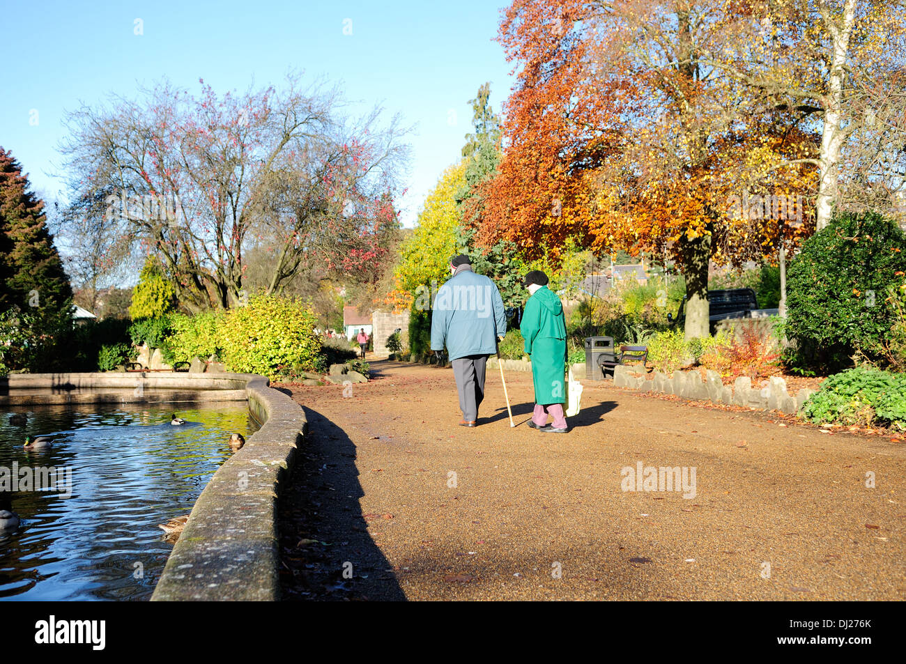 Matlock park hi-res stock photography and images - Alamy