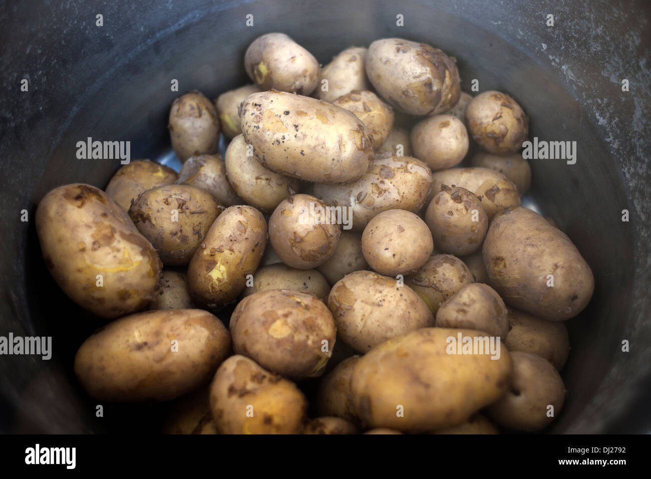 Boiled potato in skin hi-res stock photography and images - Alamy