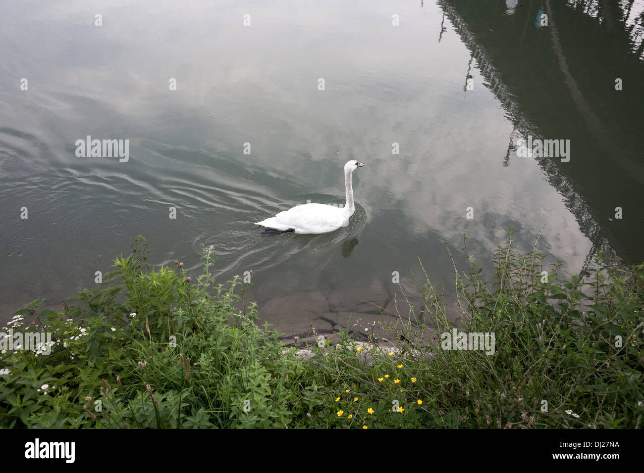 Swan river attractions hi-res stock photography and images - Alamy