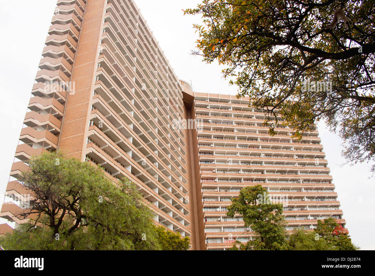 skyward view through trees of urban apartment building Stock Photo - Alamy