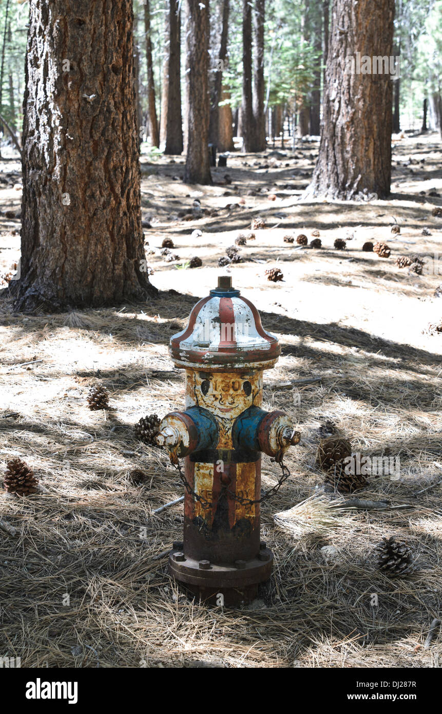 Cute fire hydrant in the wood at campsite Stock Photo - Alamy