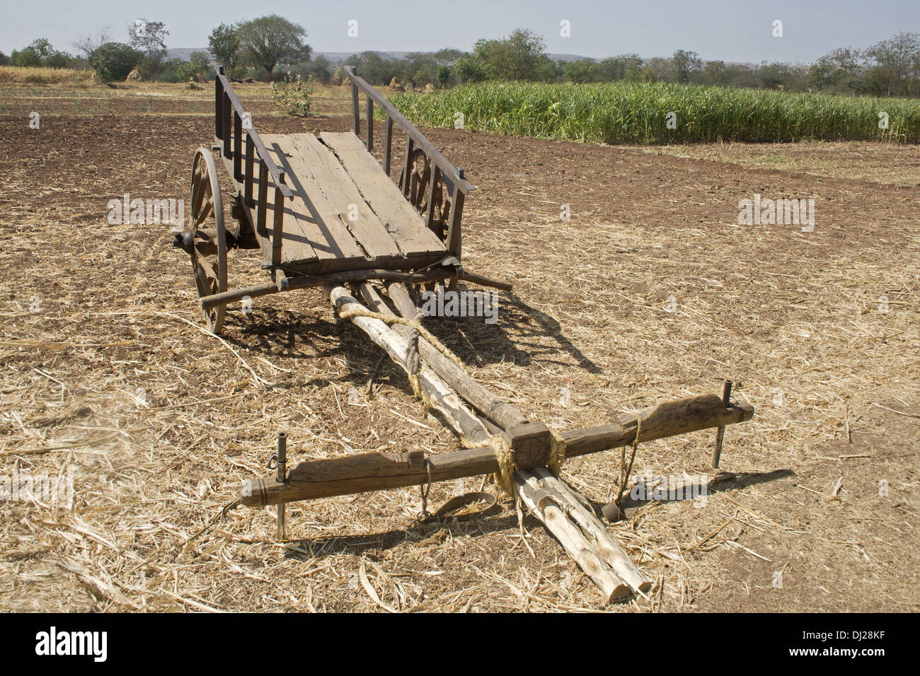Bullock cart in rural village hi-res stock photography and images - Alamy
