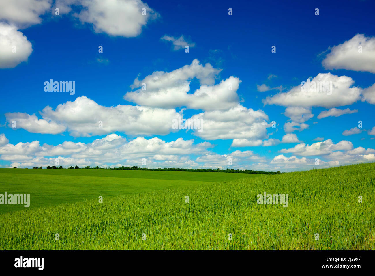 Summer landscape hi-res stock photography and images - Alamy