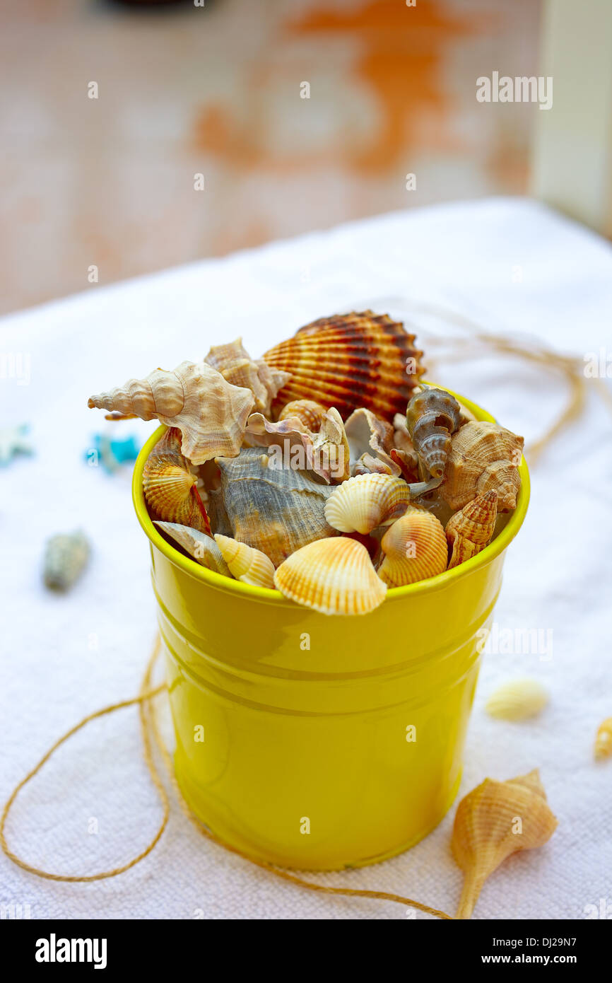Beach bucket with seashells Stock Photo - Alamy