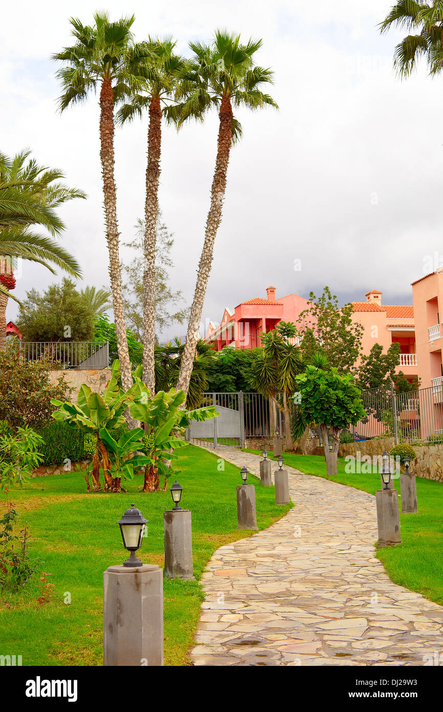 Palm tree walk way hi-res stock photography and images - Alamy