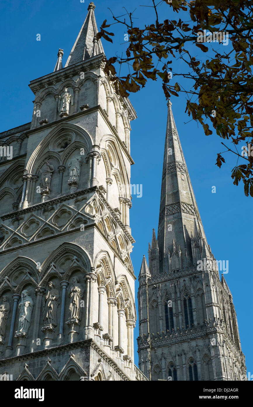 Salisbury Cathedral in Autumn Stock Photo - Alamy