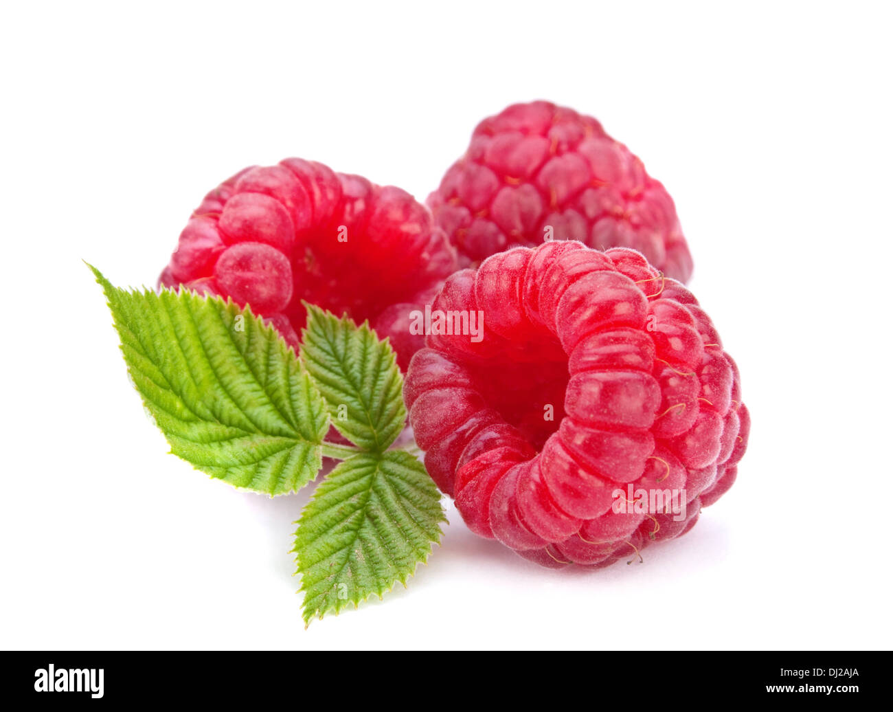 Raspberry with leaf isolated on white background Stock Photo - Alamy