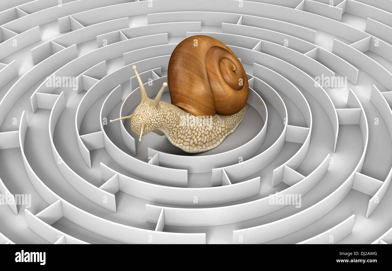 Maze to Snail Stock Photo - Alamy