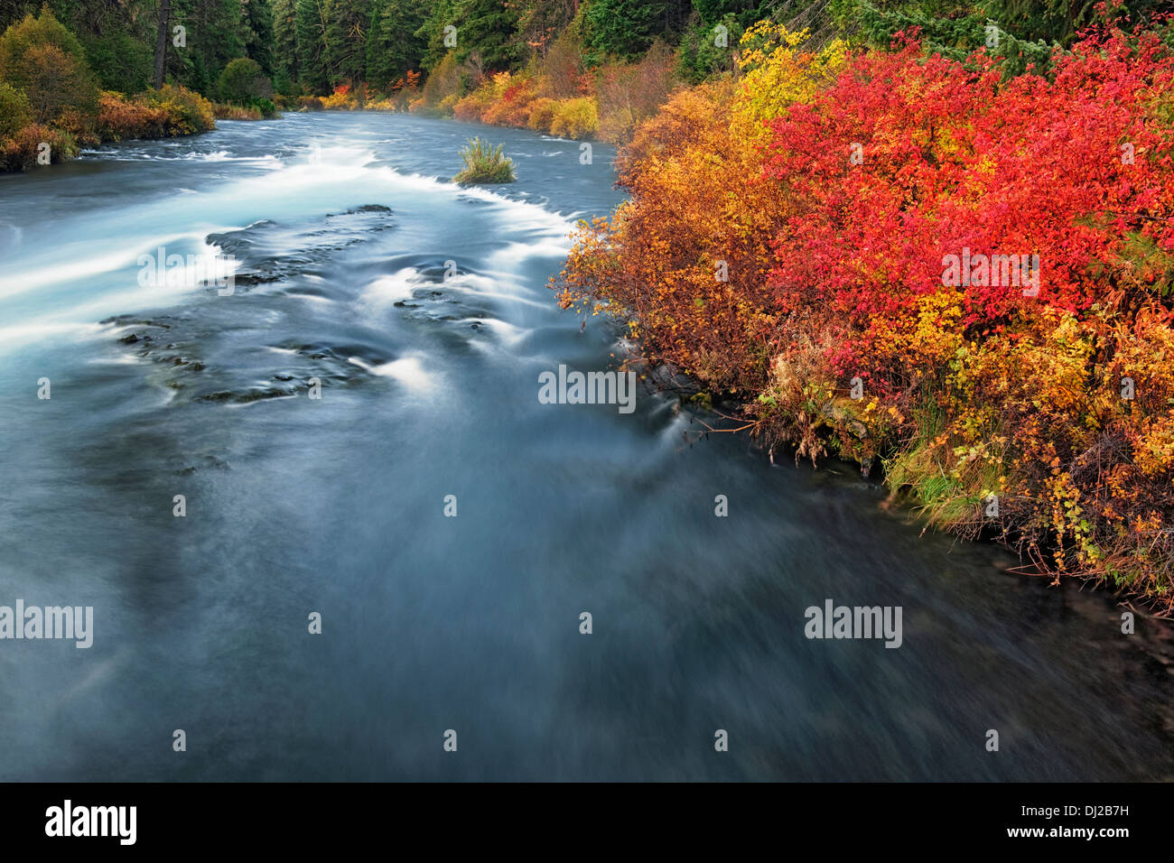 Central Oregon's Wild and Scenic Metolius River rushes over Wizard ...