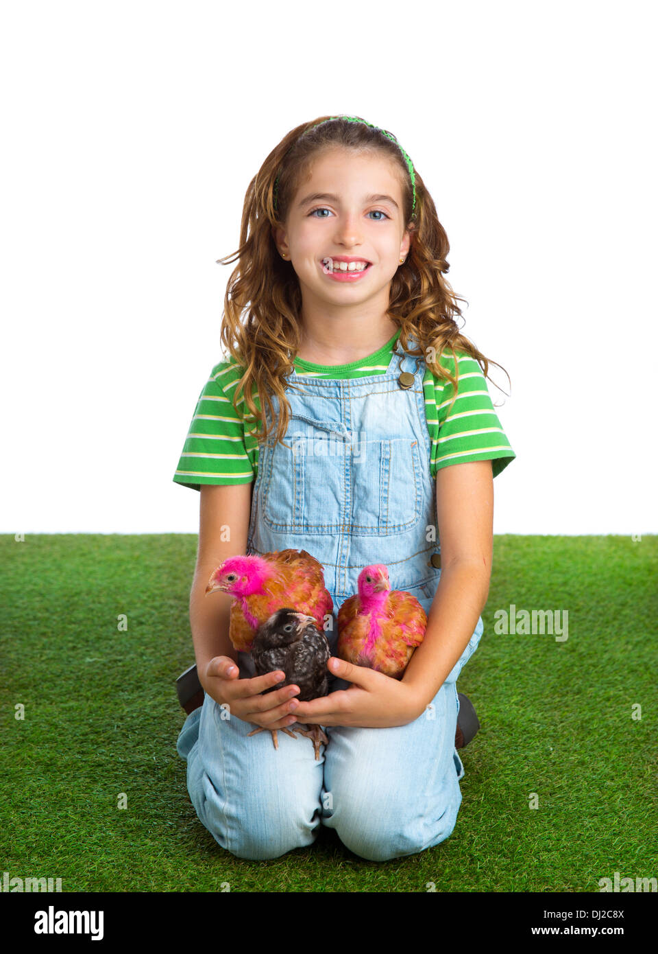 breeder hens kid girl rancher farmer hug chicken chick white background ...