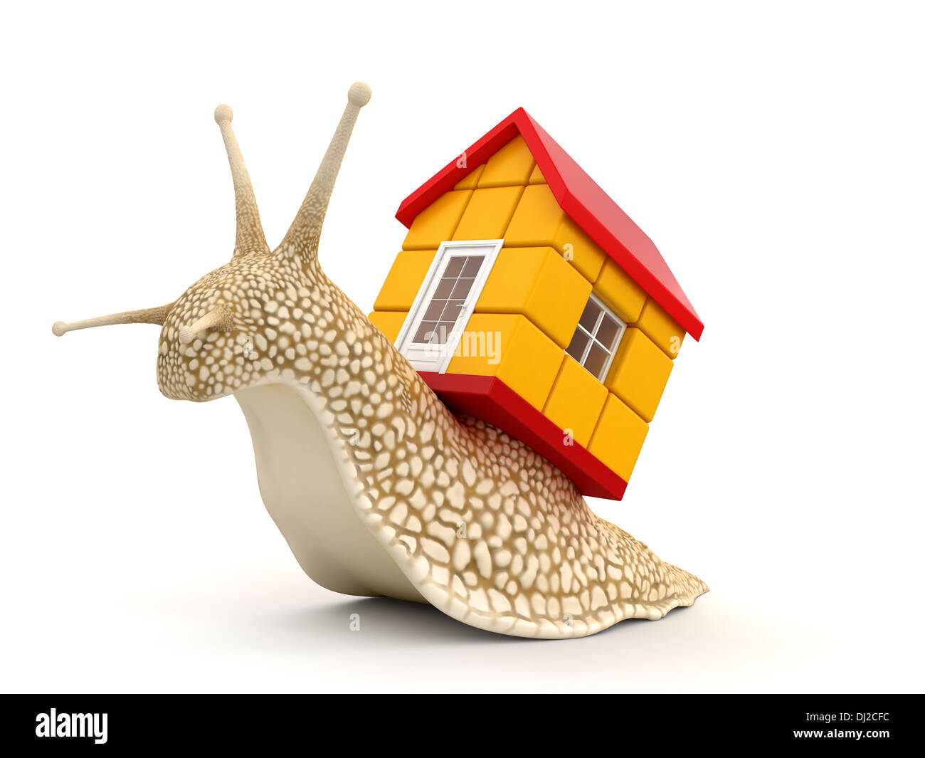 Snail with house (clipping path included Stock Photo - Alamy