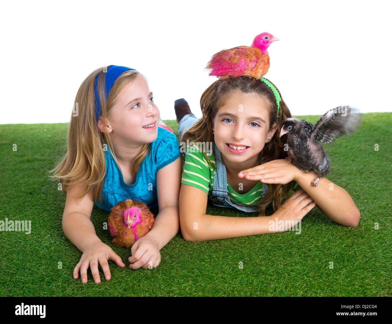 breeder hens kid sister farmer girls playing funny with chicken chicks ...