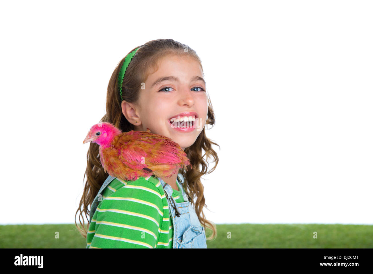 breeder hens kid girl rancher farmer playing with chicken chicks white ...