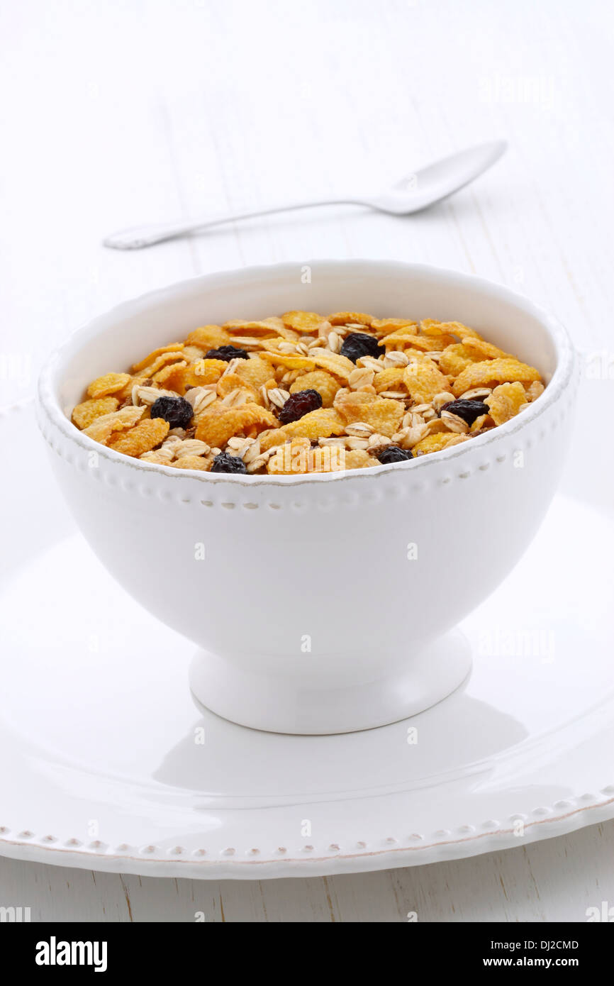 Delicious and nutritious lightly toasted breakfast muesli with dry ...