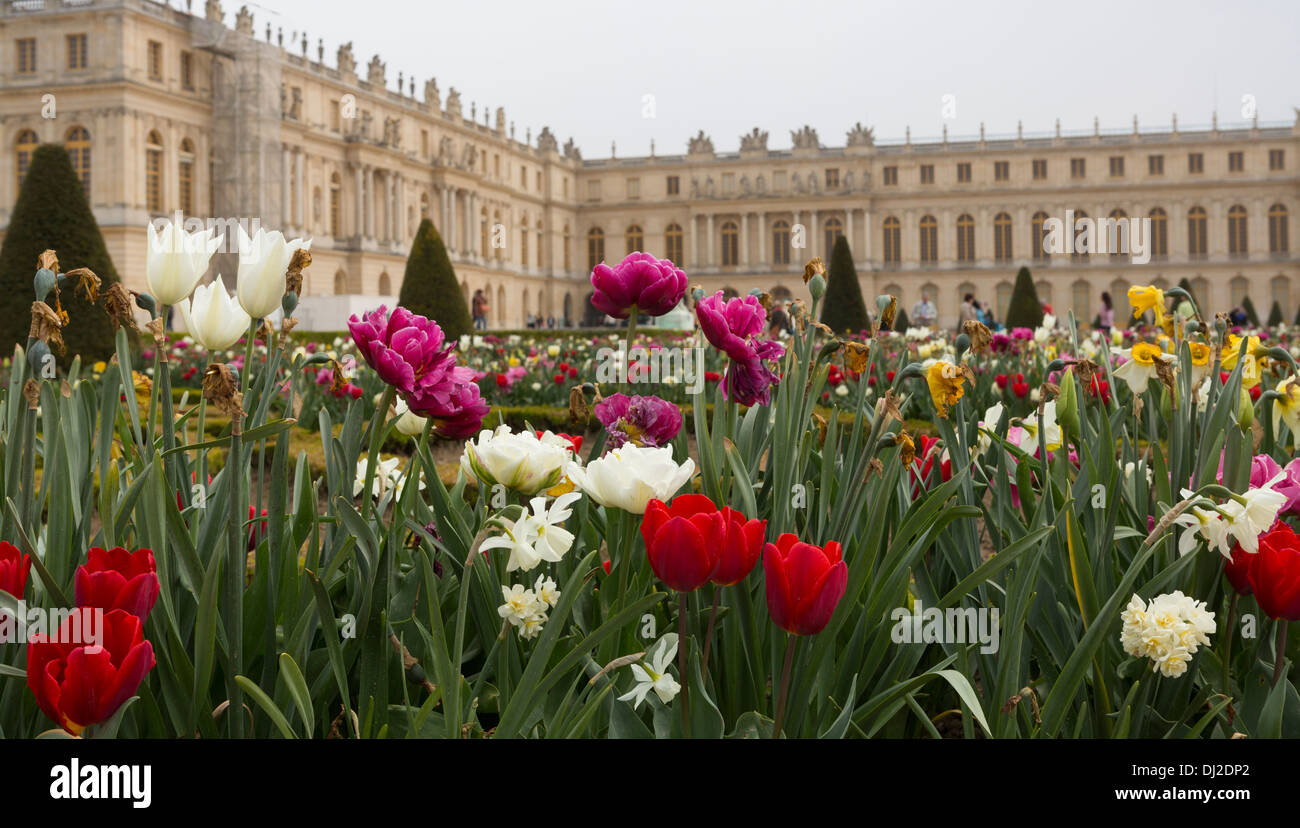 Flowers in the gardens of the palace of Versailles in Paris, France ...