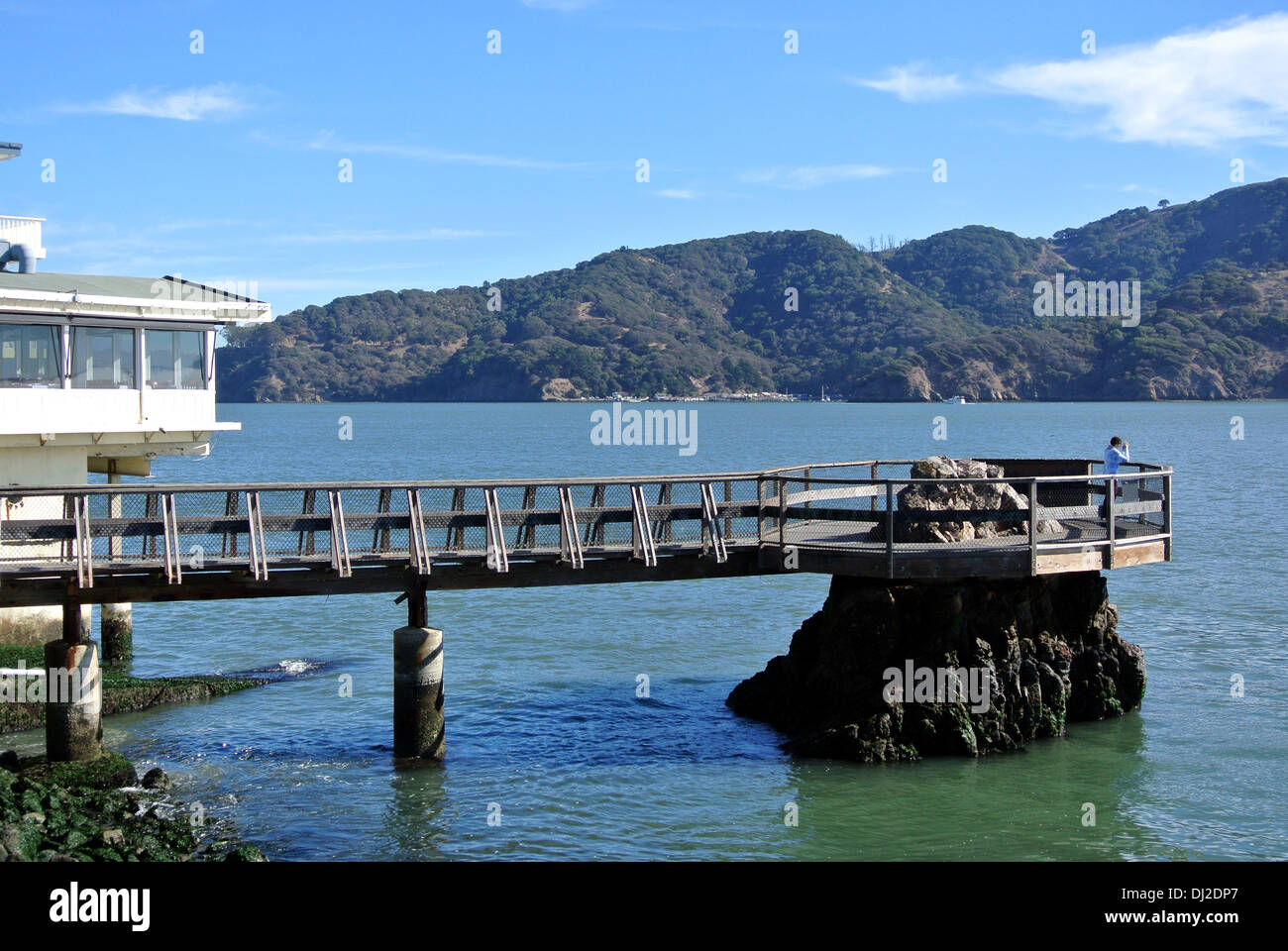 Tiburon island hi-res stock photography and images - Alamy