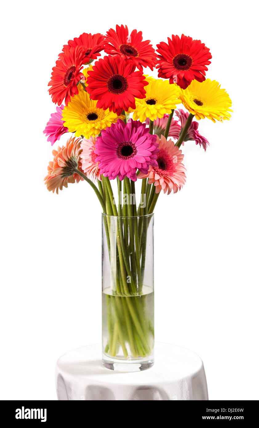 Gerbera flowers in vase isolated on white background Stock Photo - Alamy