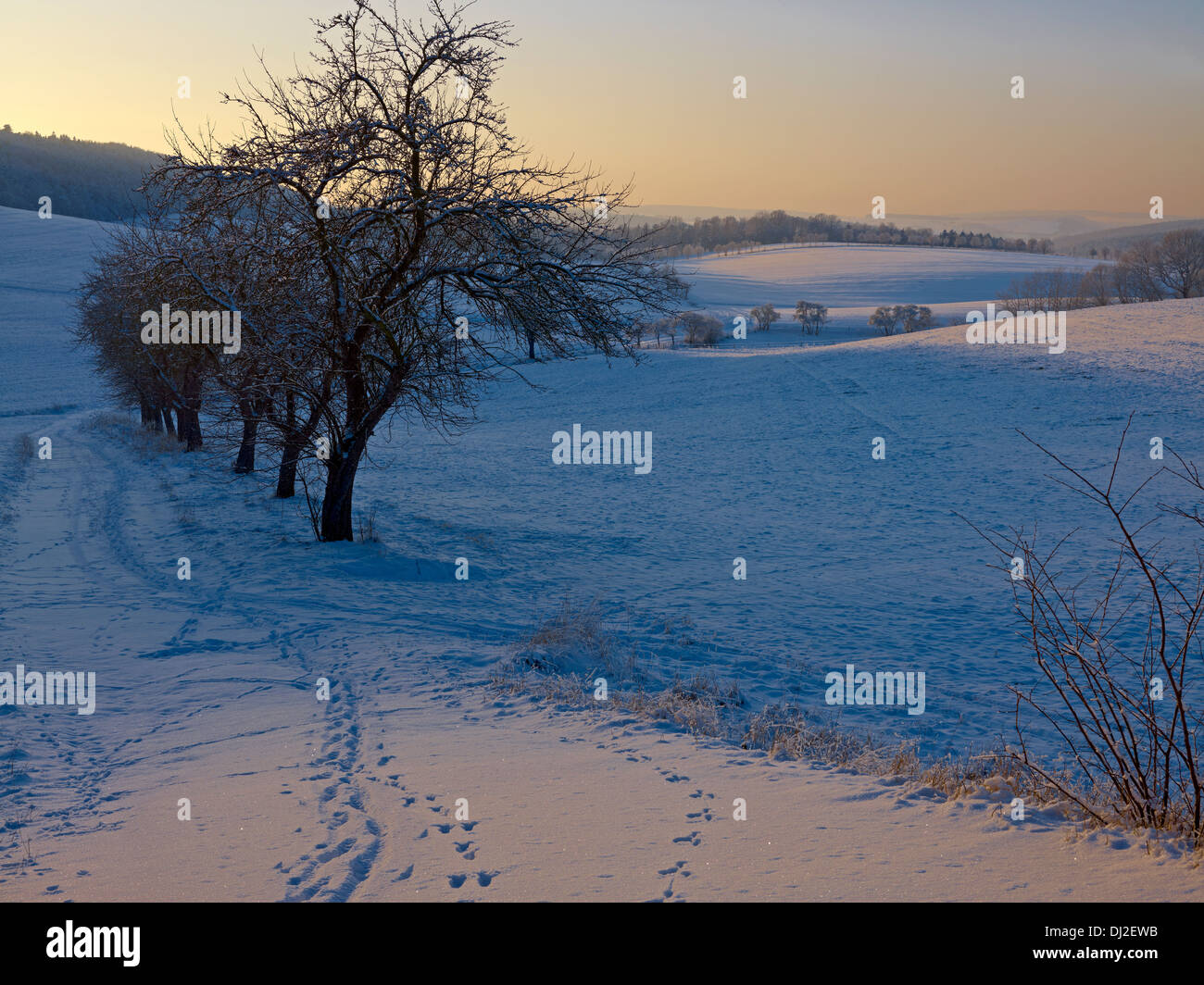 Landscape in thuringia hi-res stock photography and images - Alamy