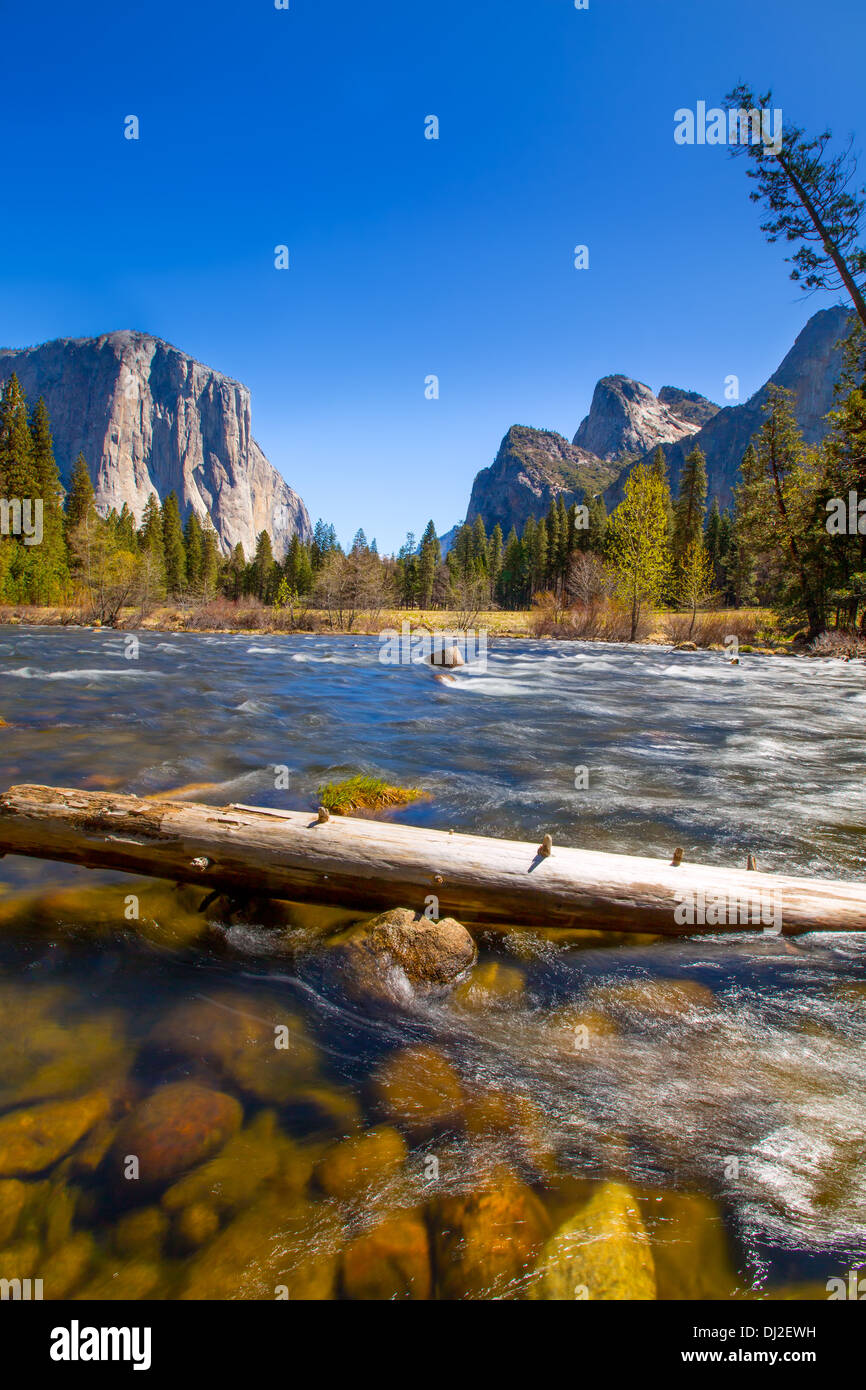 Yosemite Merced River el Capitan and Half Dome in California National ...