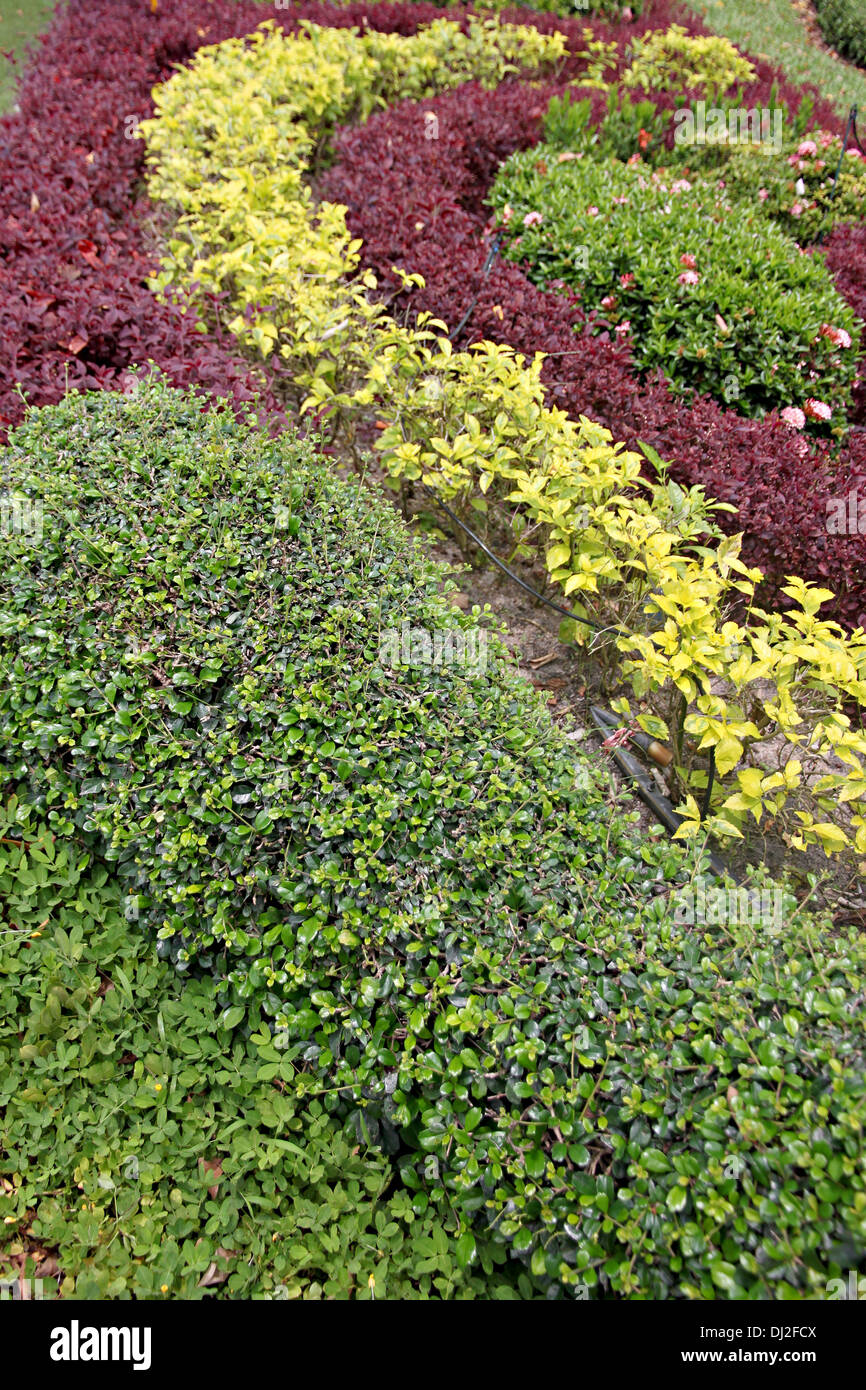 Parabolic curve hi-res stock photography and images - Alamy