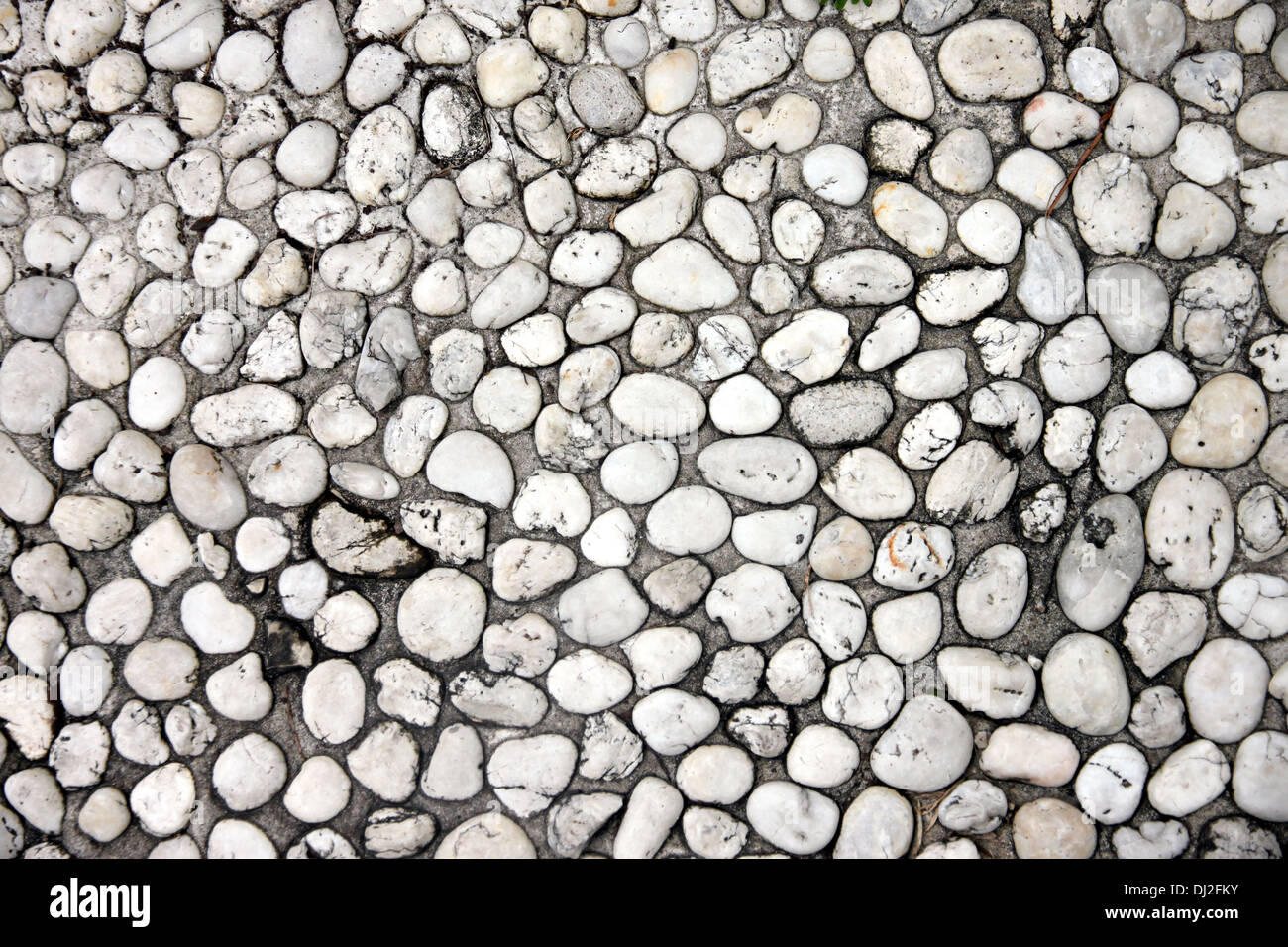 Picture Background is Texture of Pathway made from White Rock Stock ...