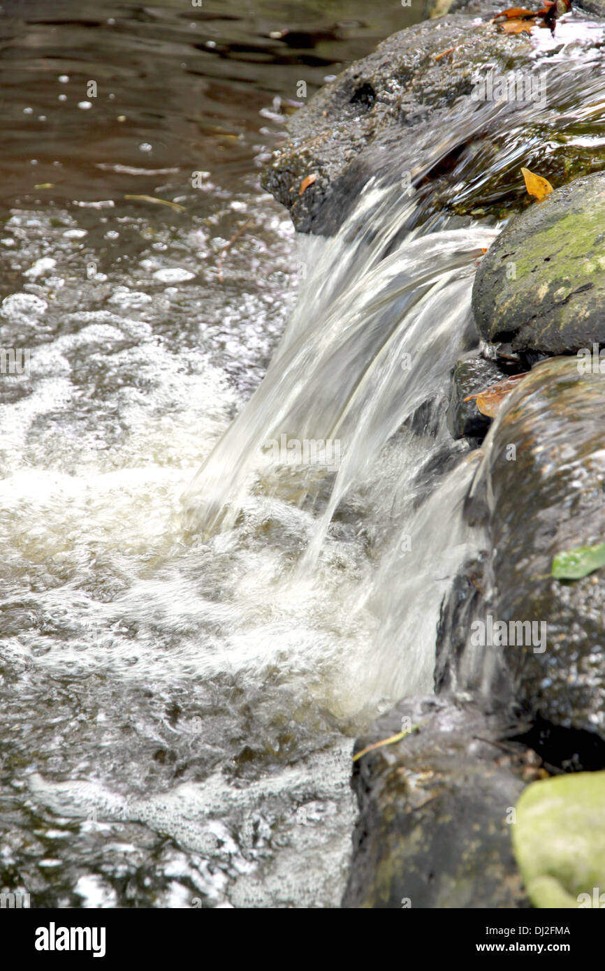 Stream flowing down in hi-res stock photography and images - Alamy