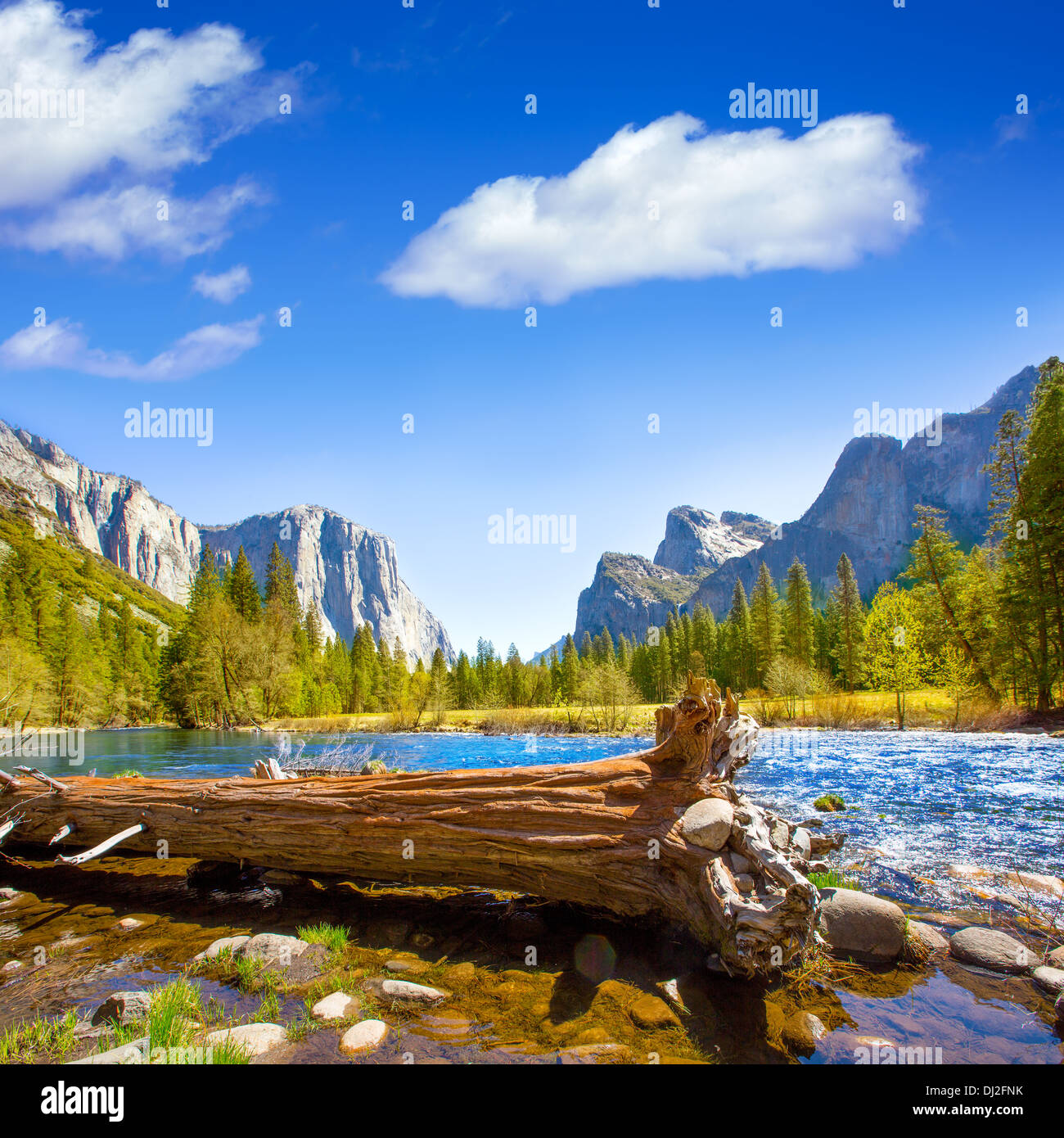 Yosemite Merced River el Capitan and Half Dome in California National ...