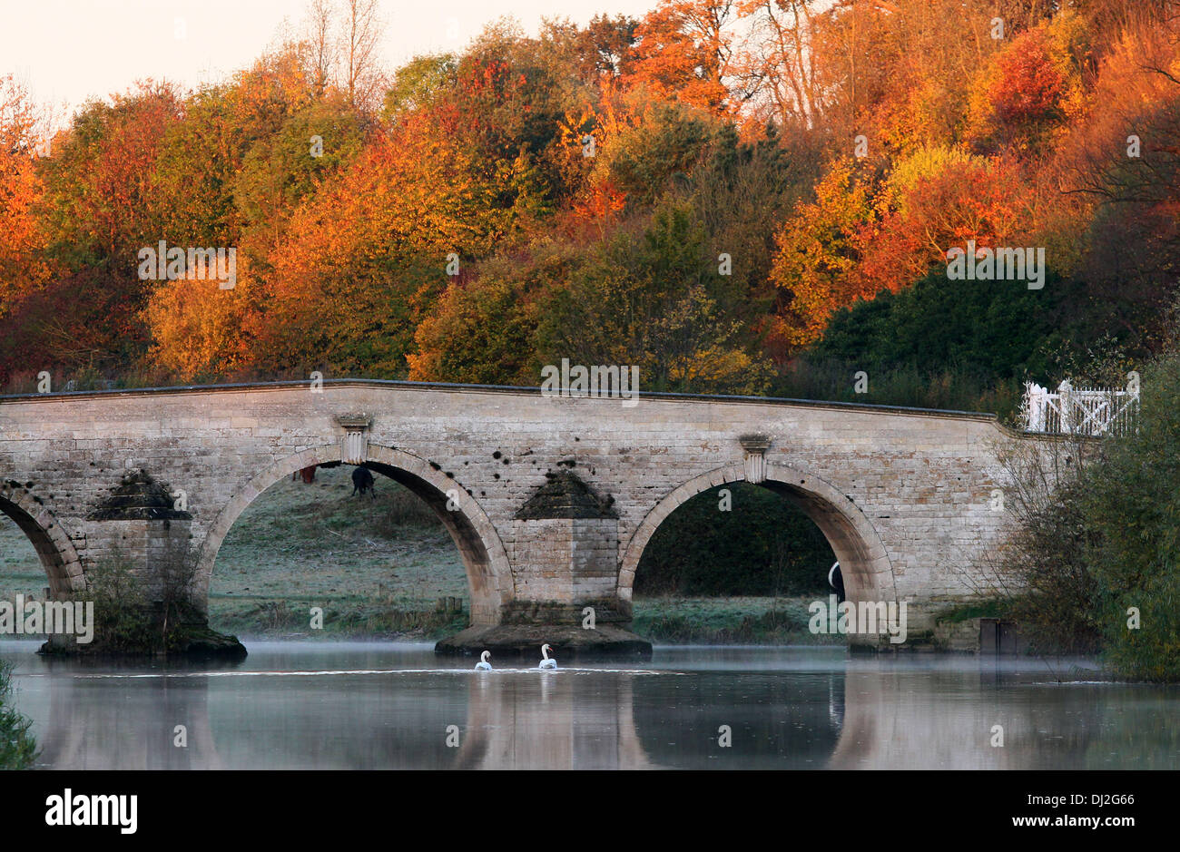 Weather . . Peterborough, UK . . 19.11.2013 A cold clear night has ...