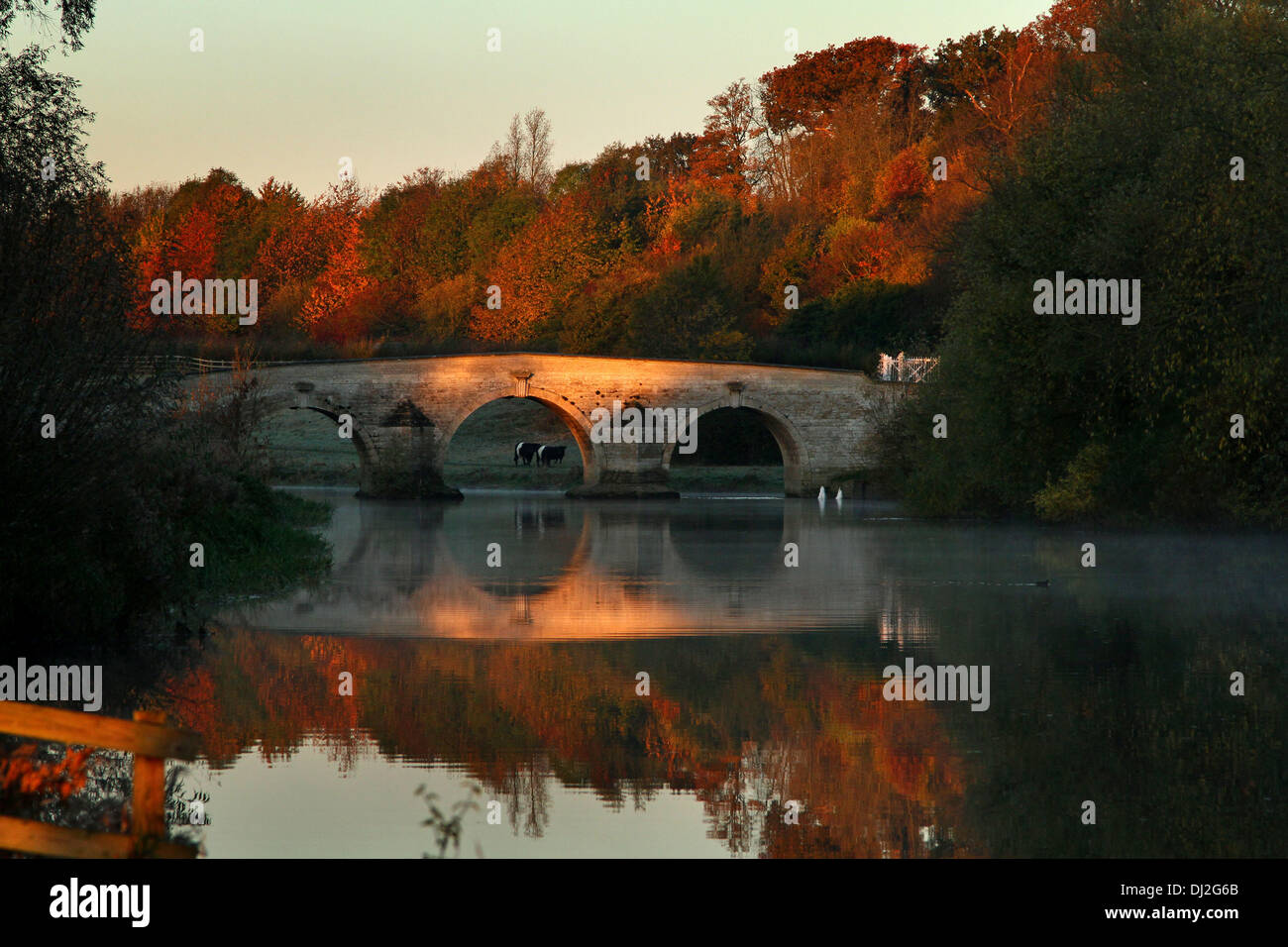 Weather . . Peterborough, UK . . 19.11.2013 A cold clear night has ...